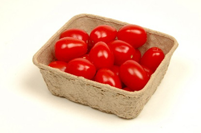 About Evesham Specialist Packaging Ltd | Pulp Punnets for Fruit Packaging